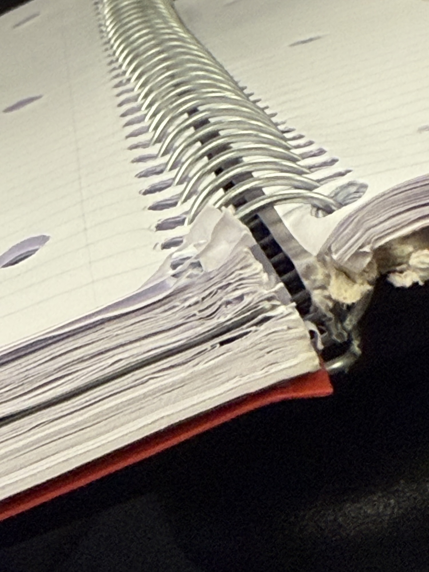 Day, busy. No time to think or deliberate or edit, or even look for new ...