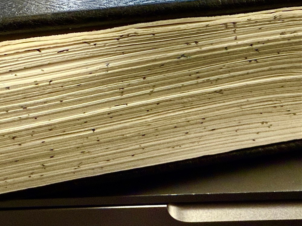 jouRNal – #professormikey